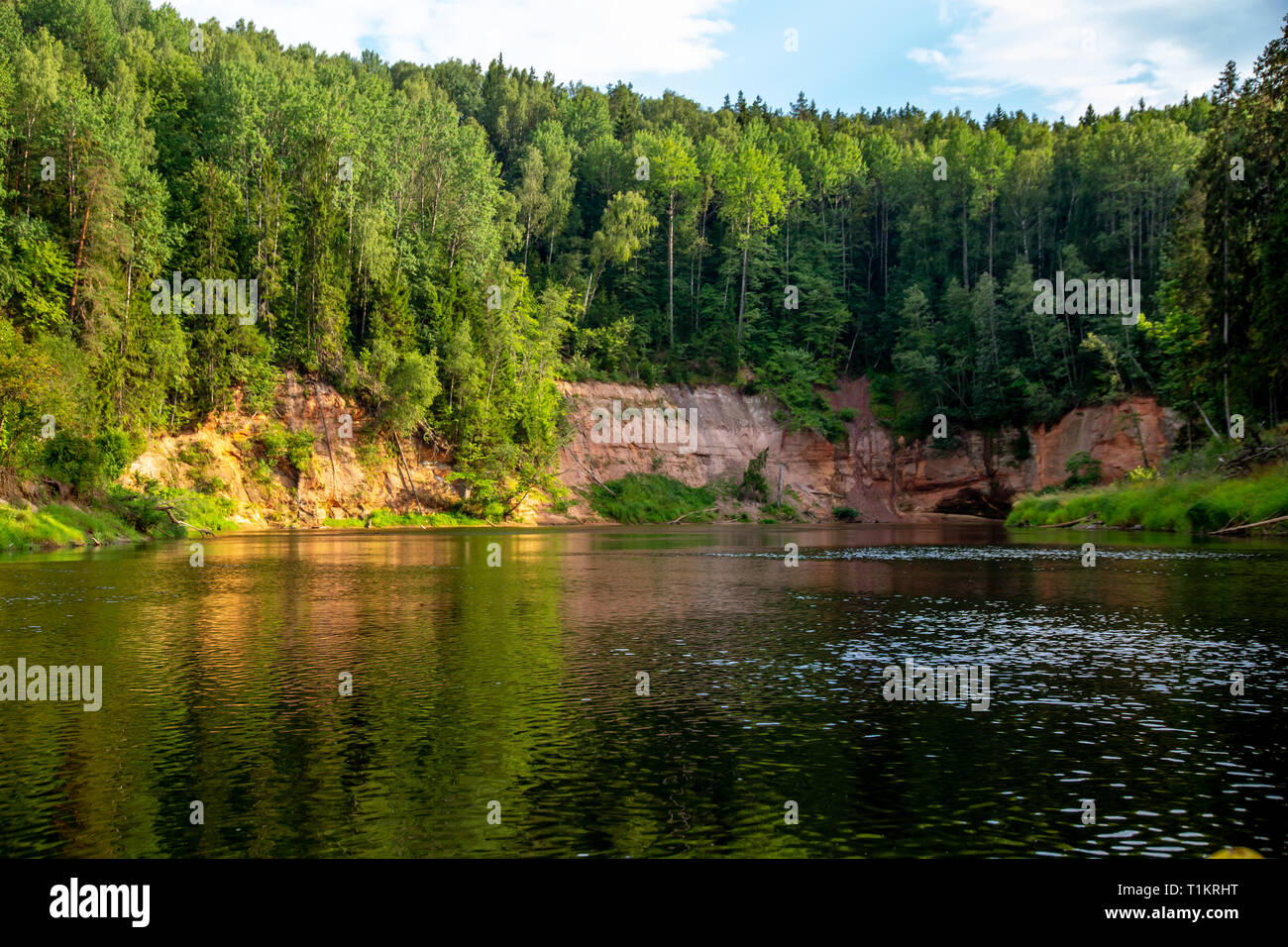 Landscape with cliff, flowing river and green forest in Latvia. Gauja ...
