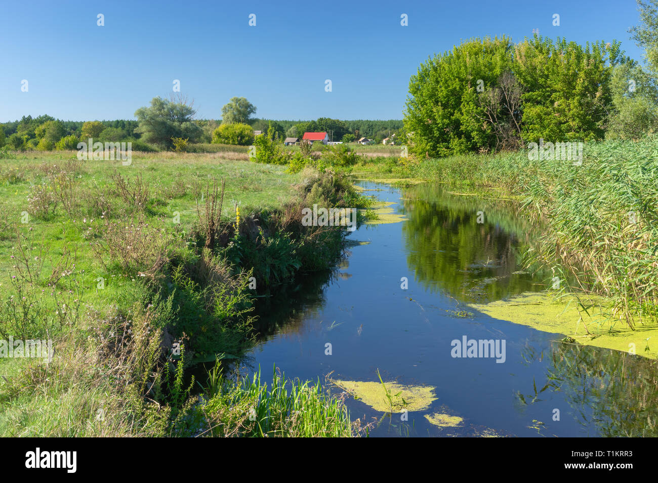 Pictorial summer landscape with small river Merla in Mala Rublivka ...