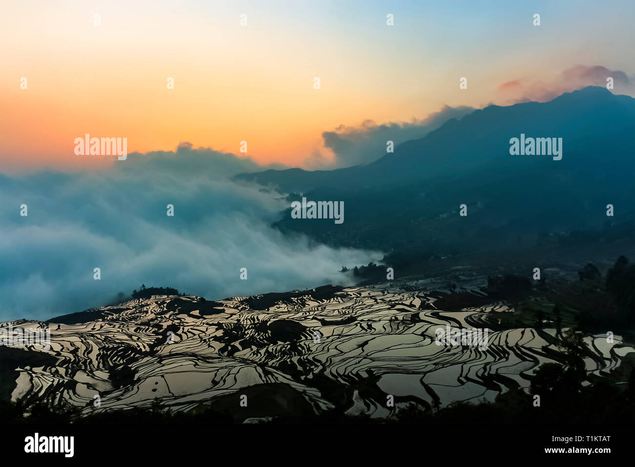 Duoyishu rice terraces hi-res stock photography and images - Alamy
