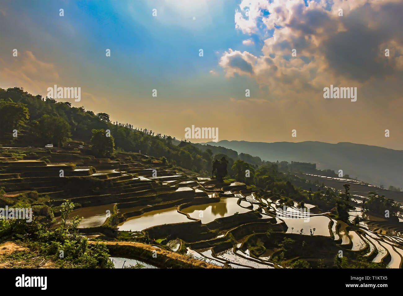 Yuanyang hani rice terraces hi-res stock photography and images - Alamy