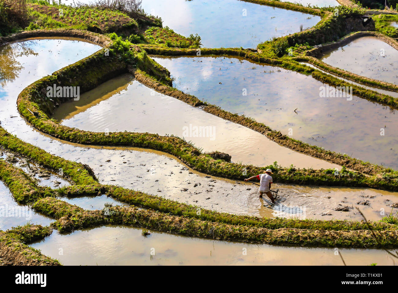 Traditional harrowing hi-res stock photography and images - Alamy