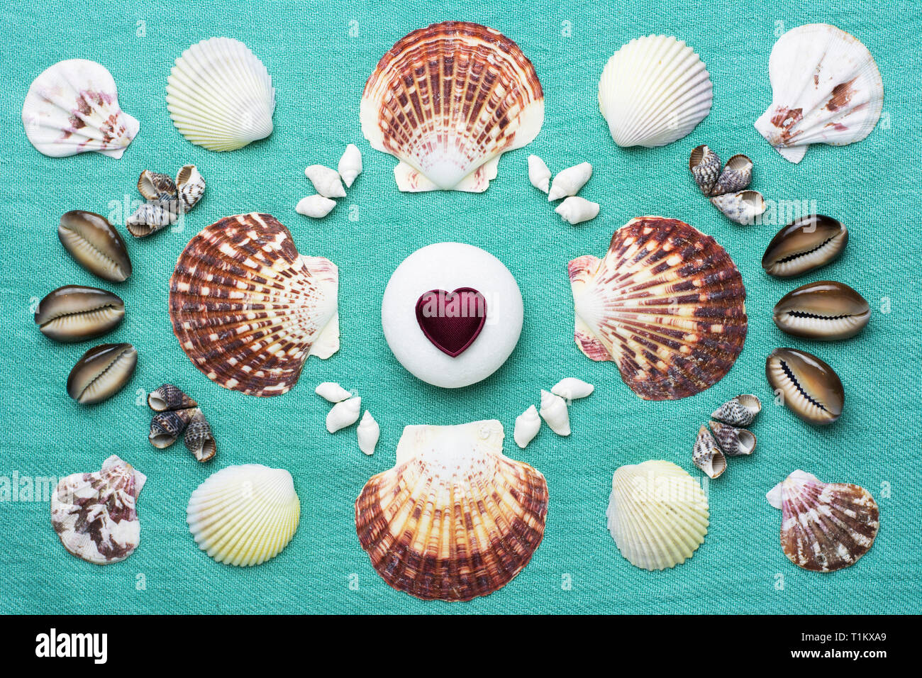 Heart shaped shells hi-res stock photography and images - Alamy