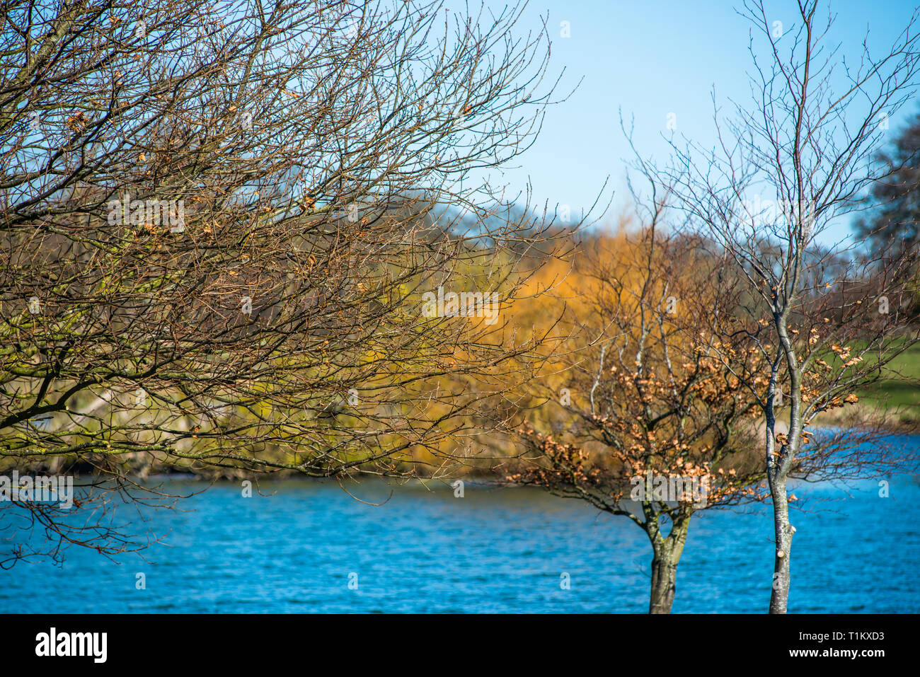 Holkham park lake, Holkham hall in North Norfolk, East Anglia, England ...