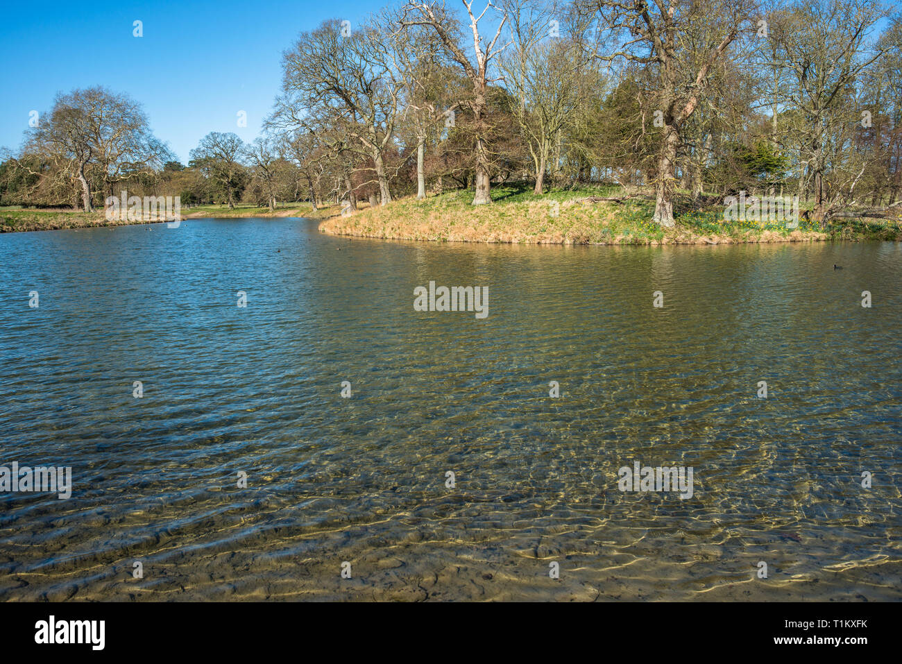 Holkham park lake, Holkham hall in North Norfolk, East Anglia, England ...