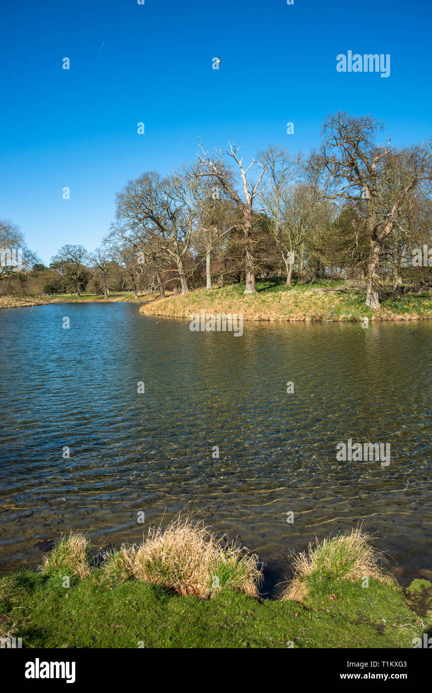 Holkham park and lake hi-res stock photography and images - Alamy