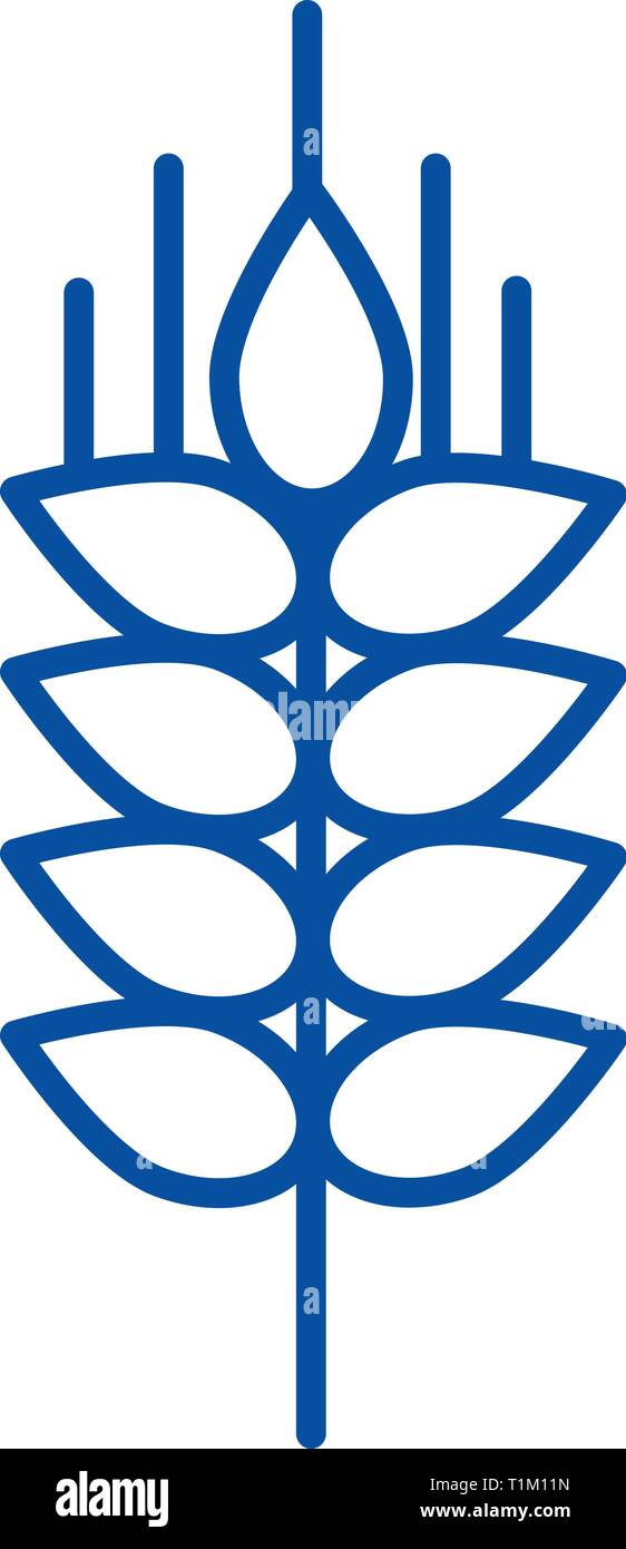 Wheat sprig line icon concept. Wheat sprig flat vector symbol, sign ...