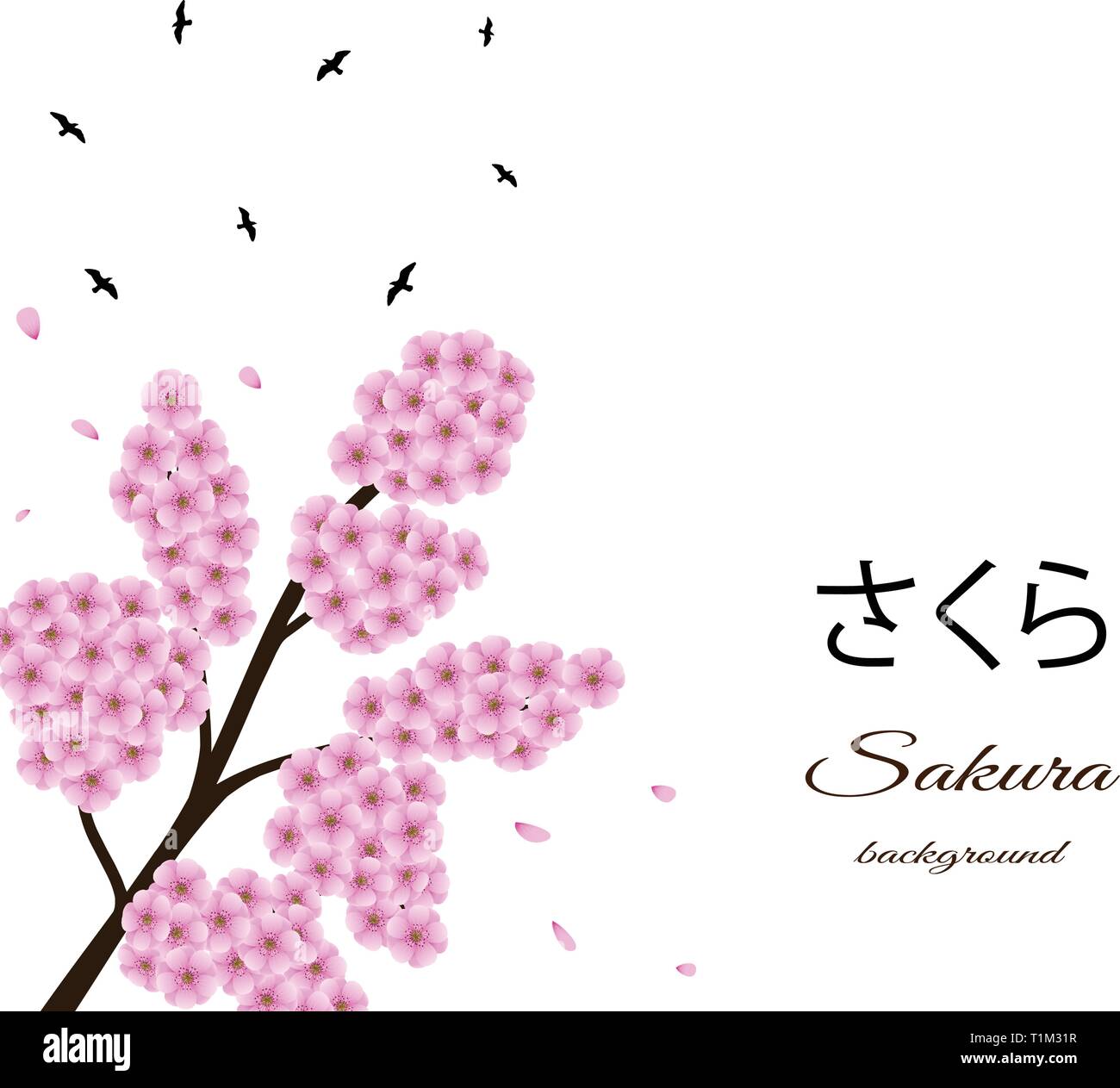 Sakura background with floral tree branch, birds Stock Vector Image ...