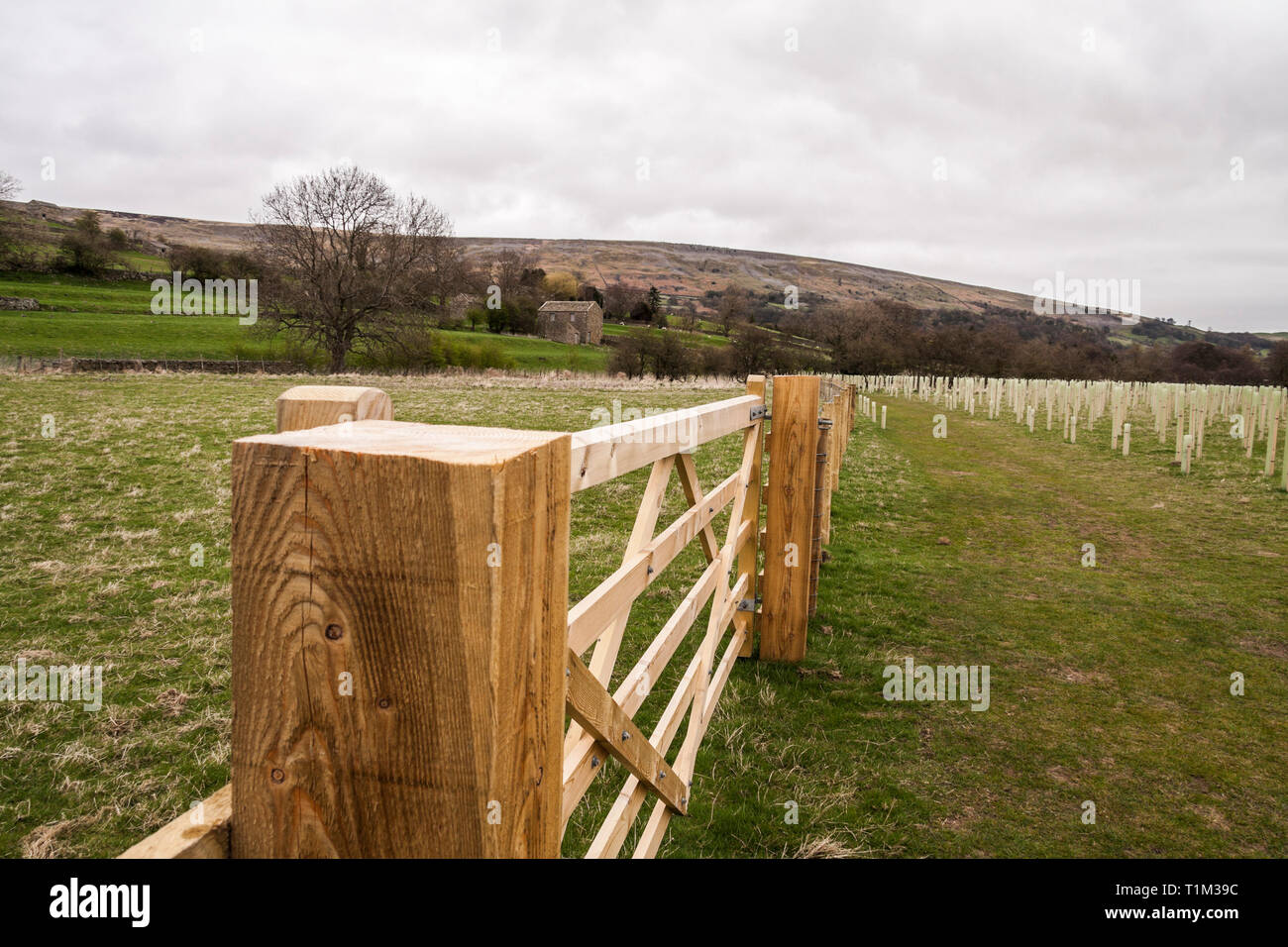 Wooden fencing and gate hi-res stock photography and images - Alamy
