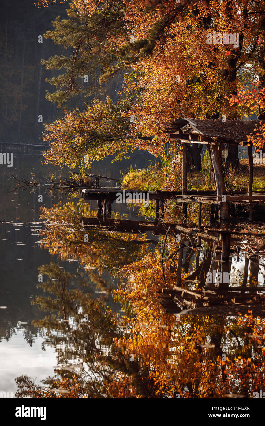 Wooden bridge on the lake. leaves floating in the water, autumn, bridge ...