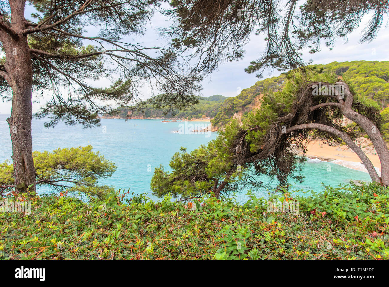Santa clotilde gardens hi-res stock photography and images - Alamy