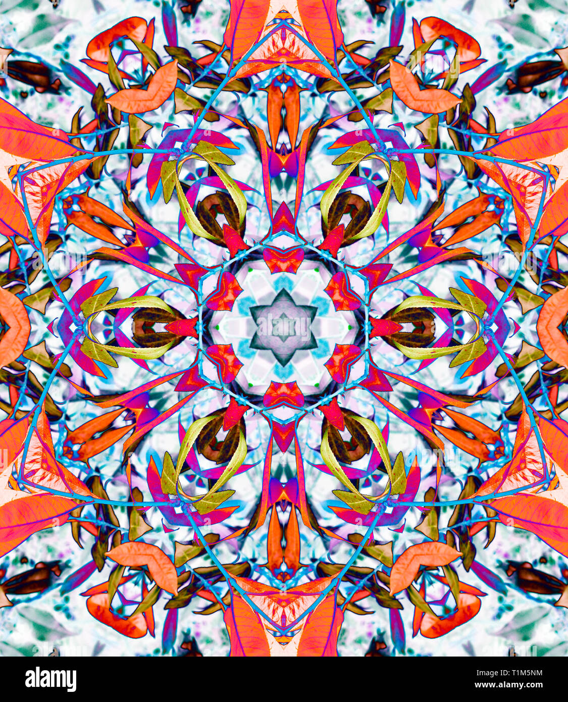 Organic Geometric Patterns