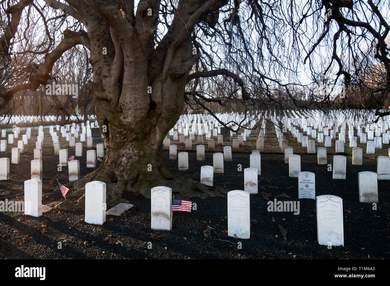 Cypress Hills National Cemetery in Brooklyn New York City Stock Photo ...