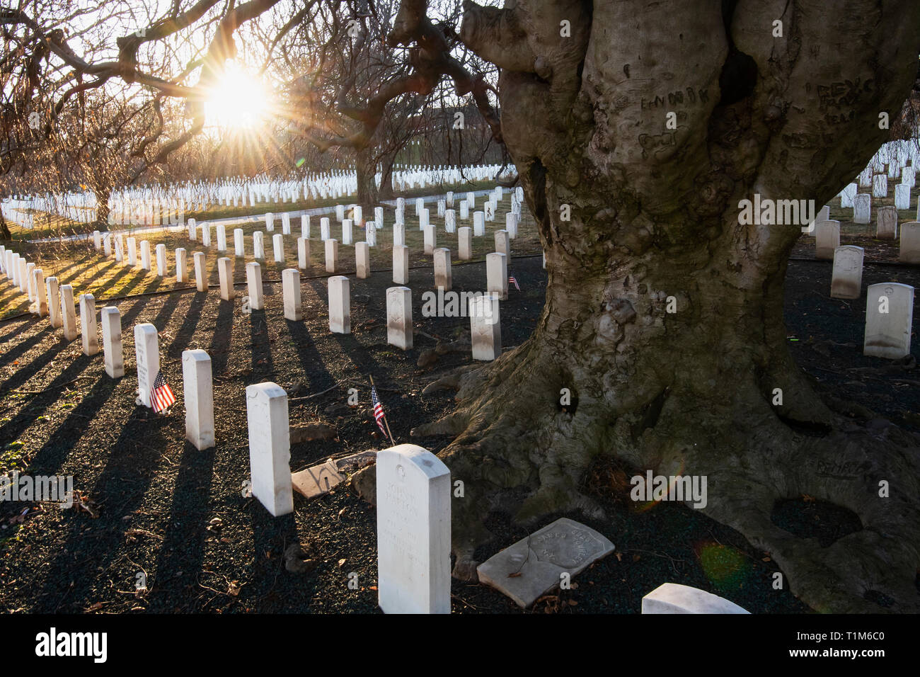 Cypress Hills National Cemetery in Brooklyn New York City Stock Photo ...