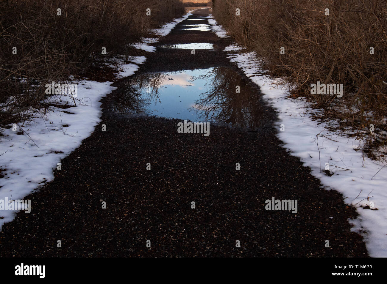 Winter path with puddle and cloud reflection Stock Photo - Alamy