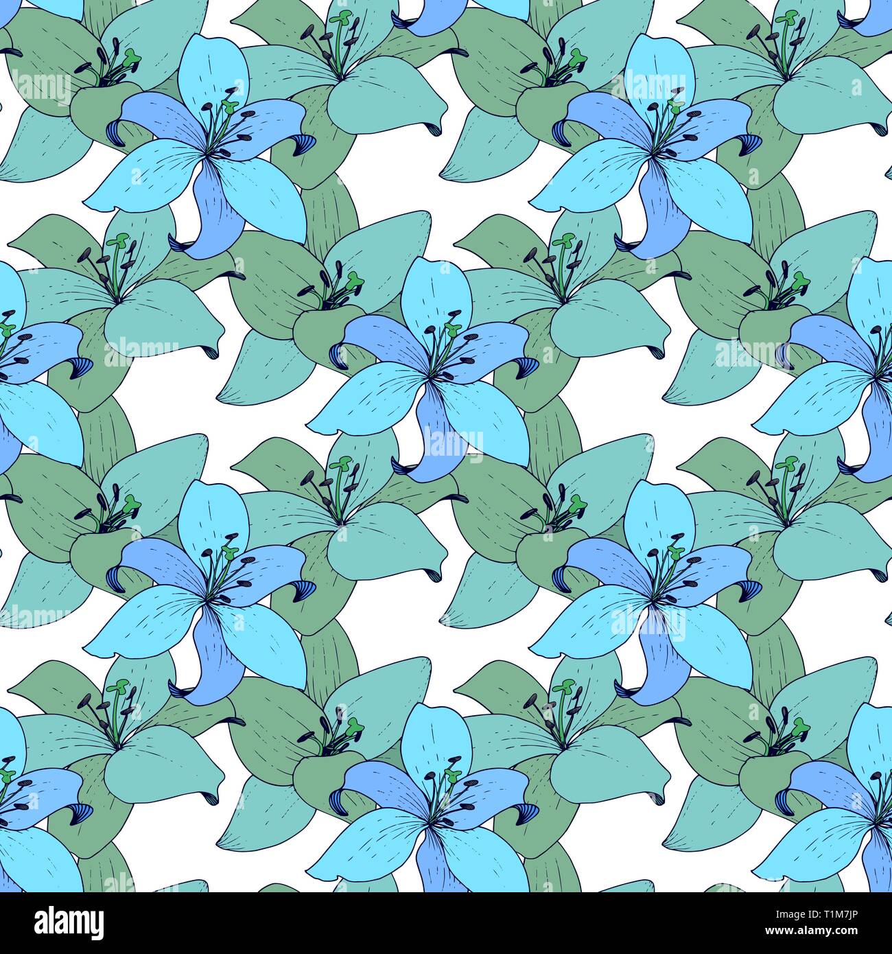 Vector Lily floral botanical flower. Engraved ink art. Seamless ...