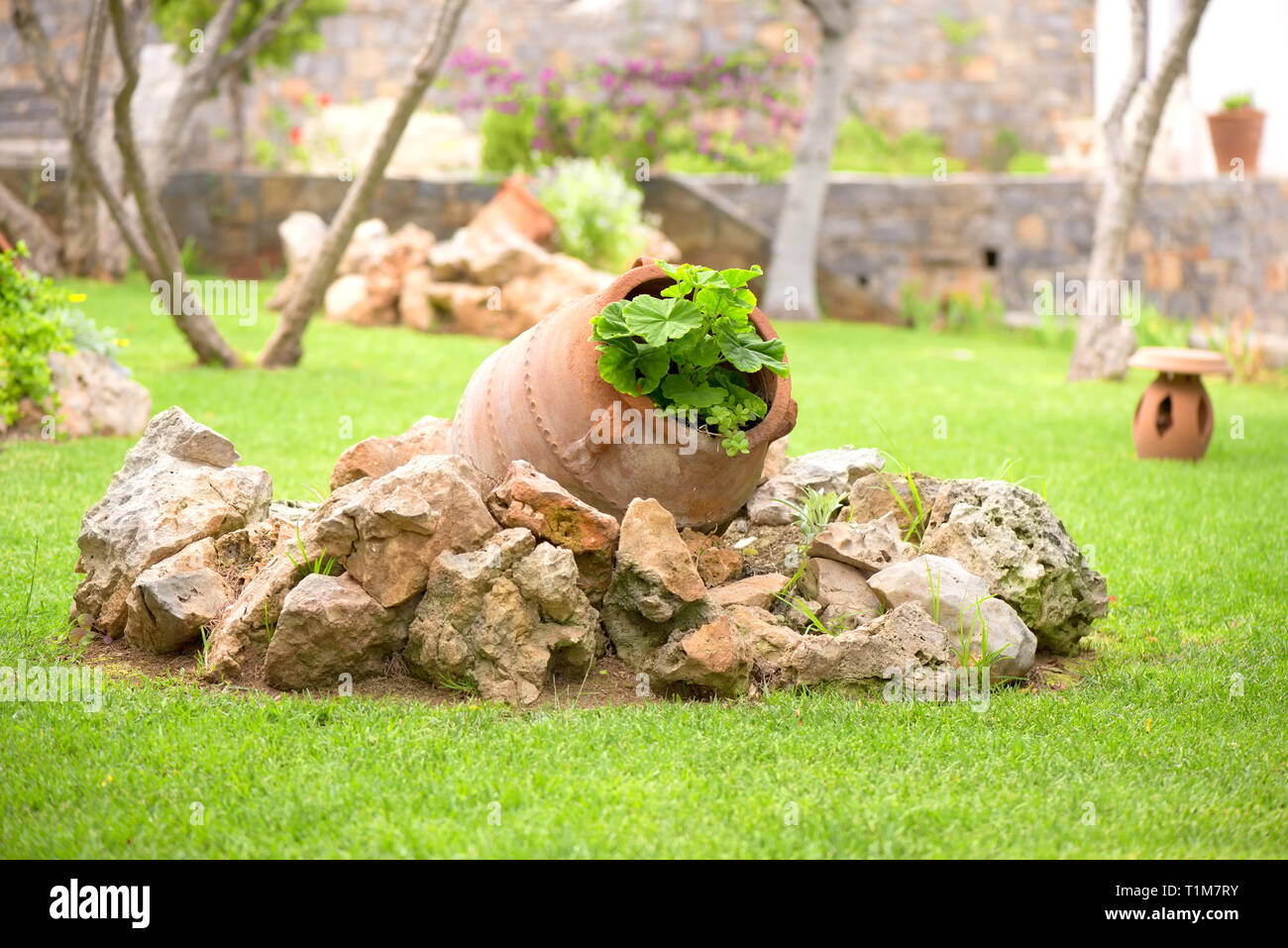 Large terracotta pot garden hi-res stock photography and images - Alamy