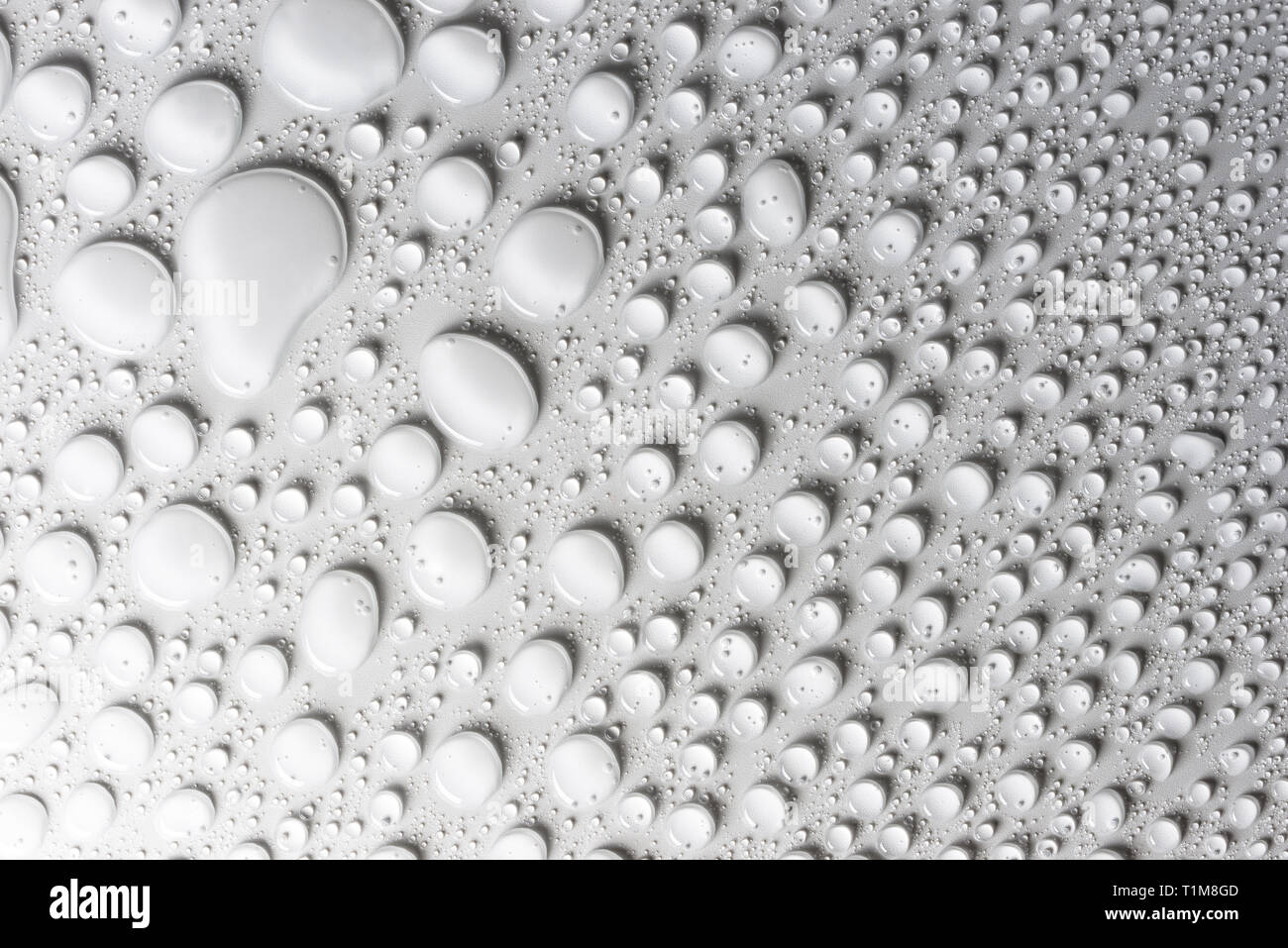 Droplets of water on a white, matte background illuminated with a ...
