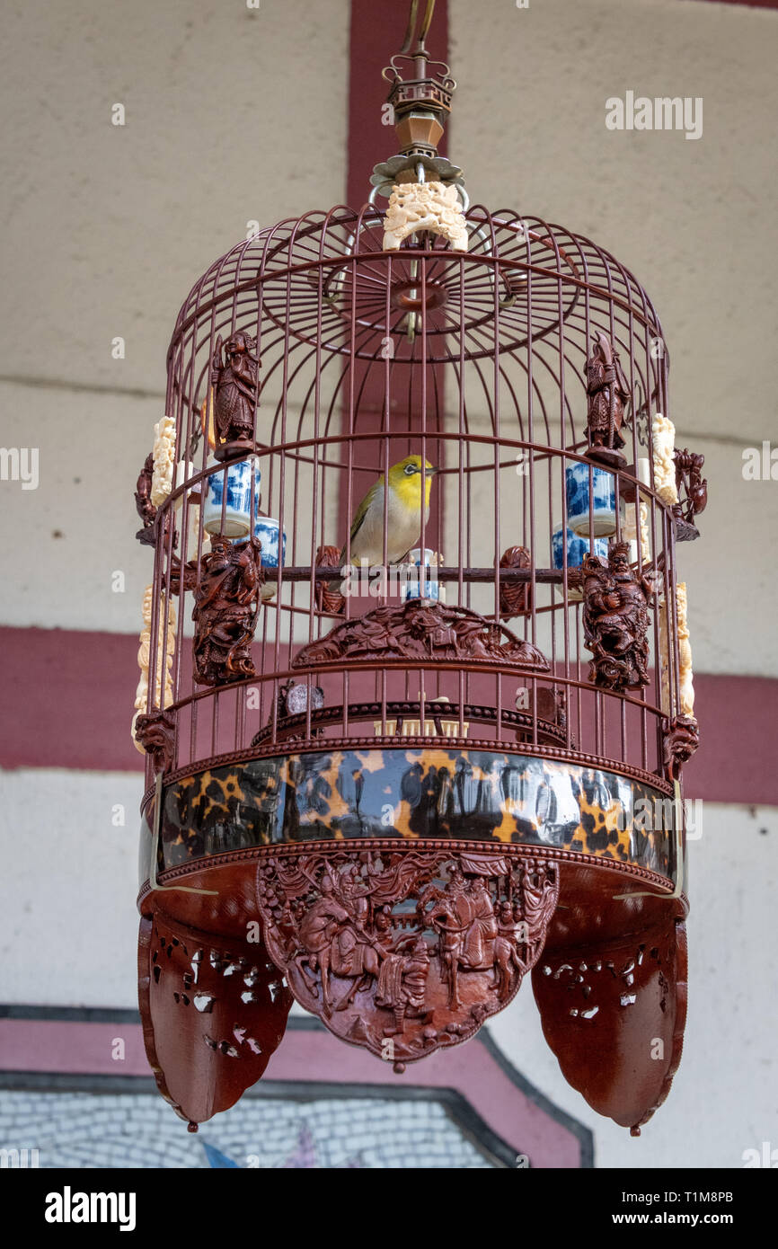 Bird in cage at Asian Bird Market Stock Photo - Alamy