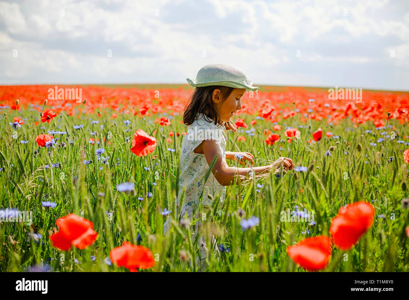 Childhood standing holding looking away hat hi-res stock photography ...
