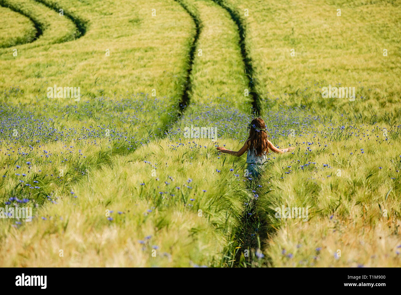 Girl walking on wheat field hi-res stock photography and images - Alamy