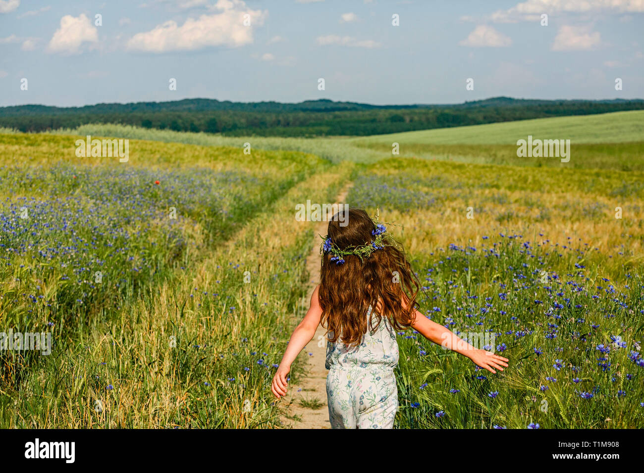 Girl running in sunny, rural idyllic green field with wildflowers Stock ...