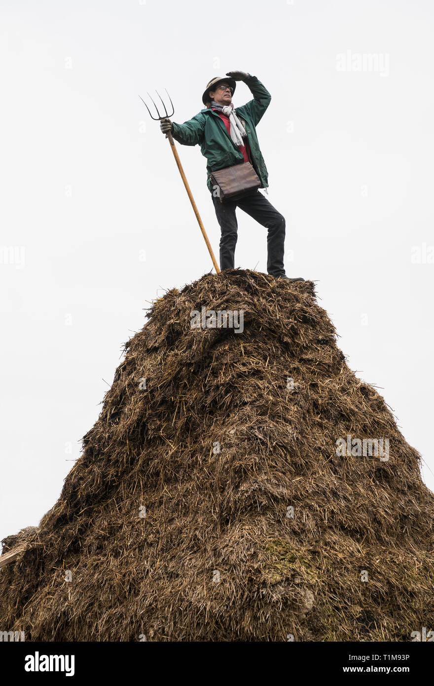 Top view farmer hands hi-res stock photography and images - Alamy