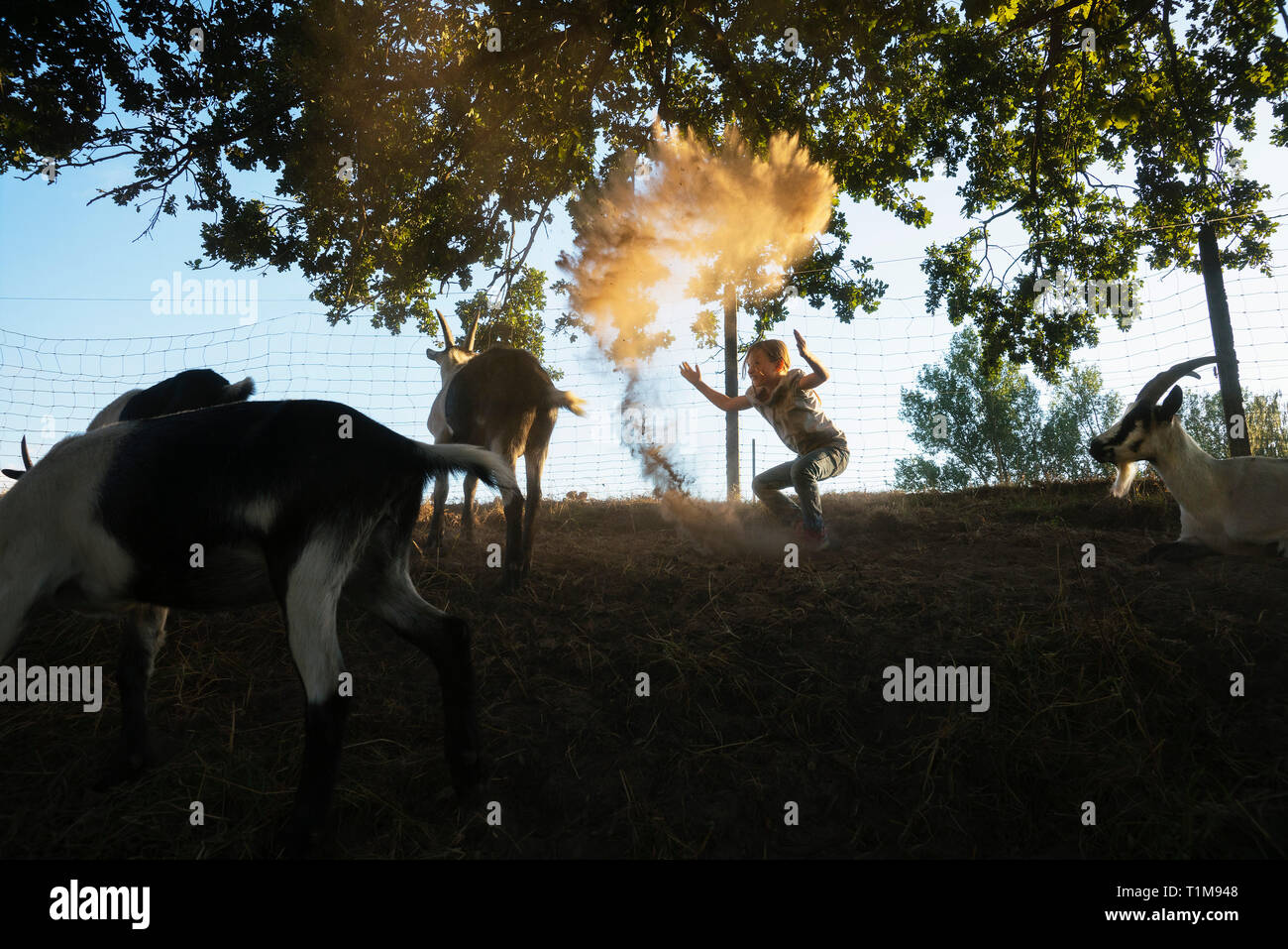 Throwing the goat hi-res stock photography and images - Alamy