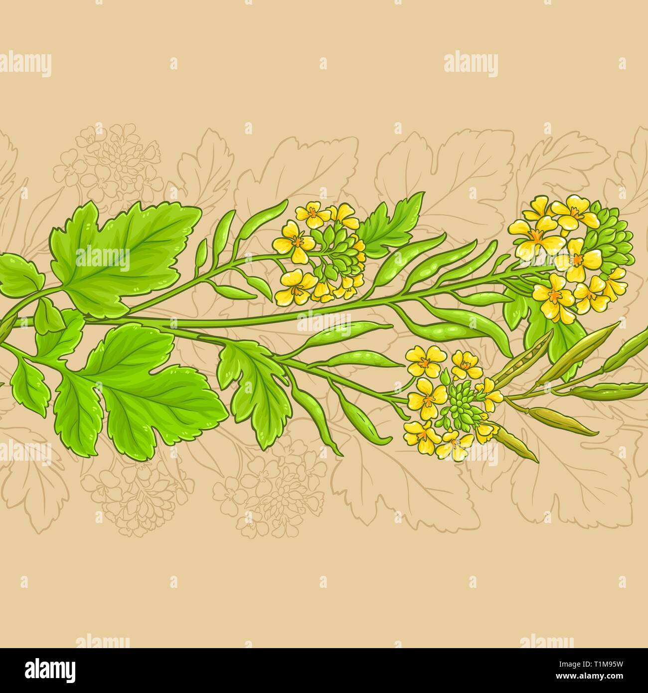 Mustard Plant Clipart