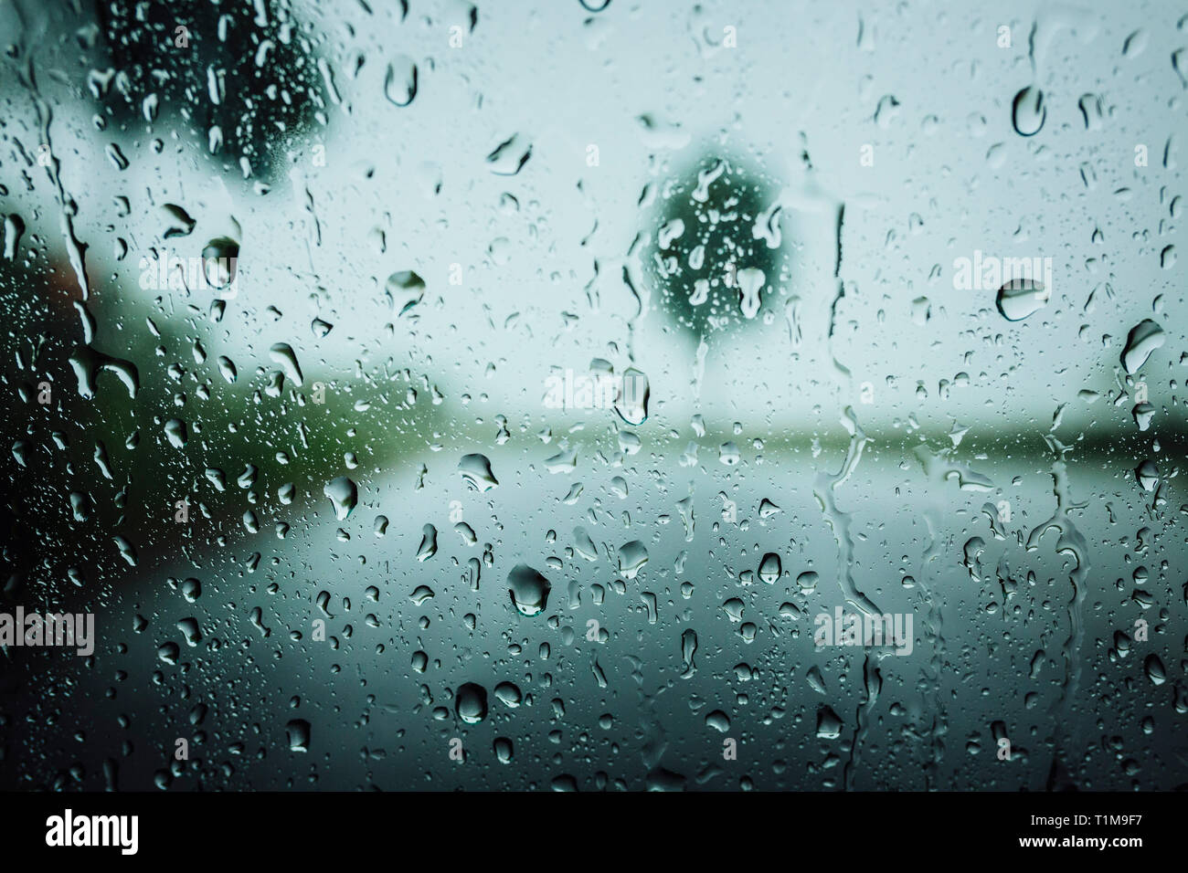 Raindrops on window Stock Photo - Alamy