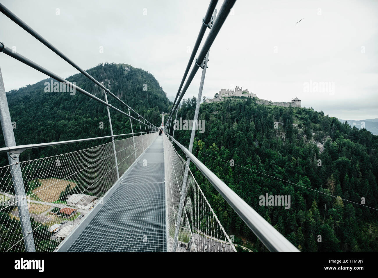 Highline 179 suspension bridge over treetops, Tyrol, Austria Stock ...