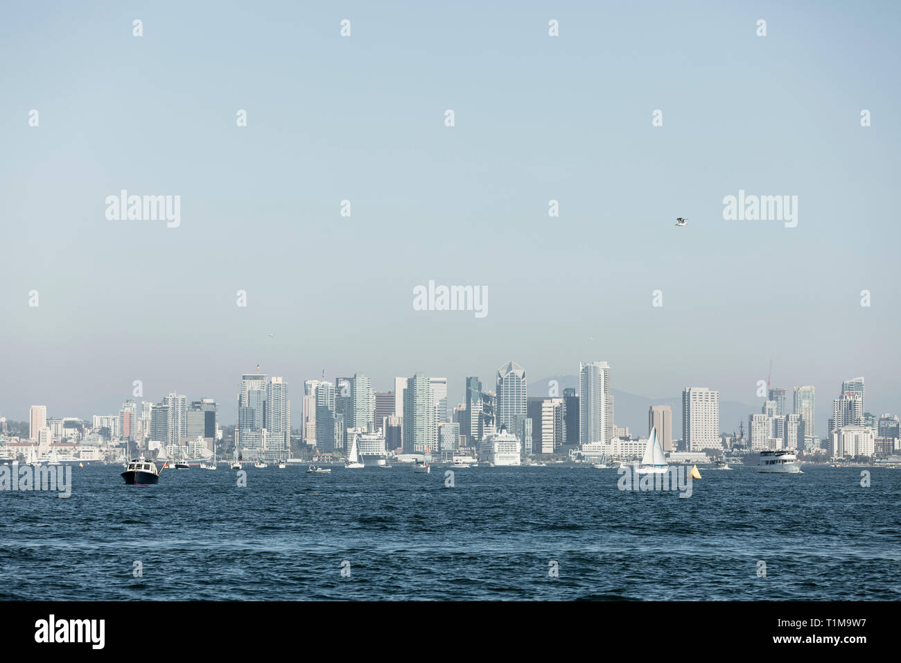 Sunny waterfront cityscape view, San Diego, California, USA Stock Photo ...