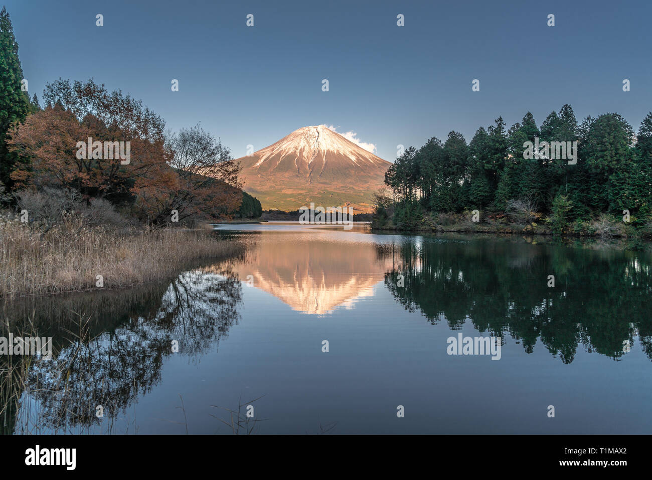 Beautiful clear sky Sunset at Tanuki Lake (Tanukiko). Fuji mountain ...