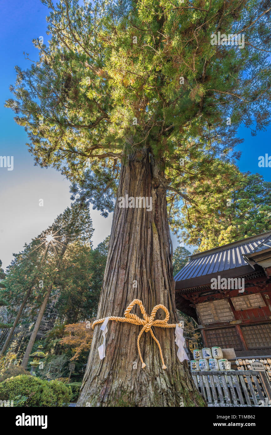 Fujiyoshida city, Yamanashi Prefecture, Japan - Nobember 19, 2017 ...