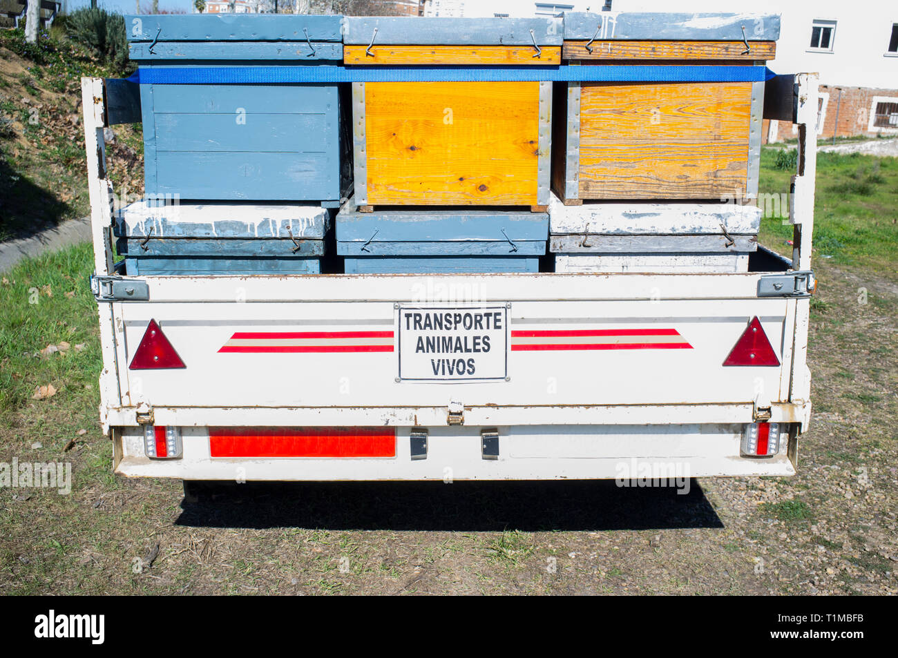 Trailer load with wooden hives ready to move. Live animals transport ...