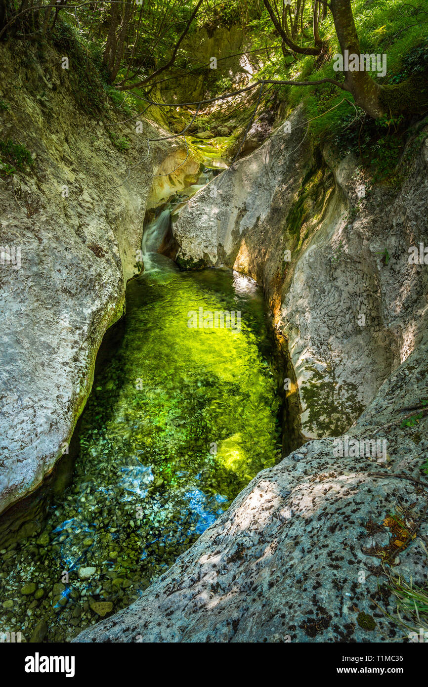 Small stream on sunny hi-res stock photography and images - Alamy