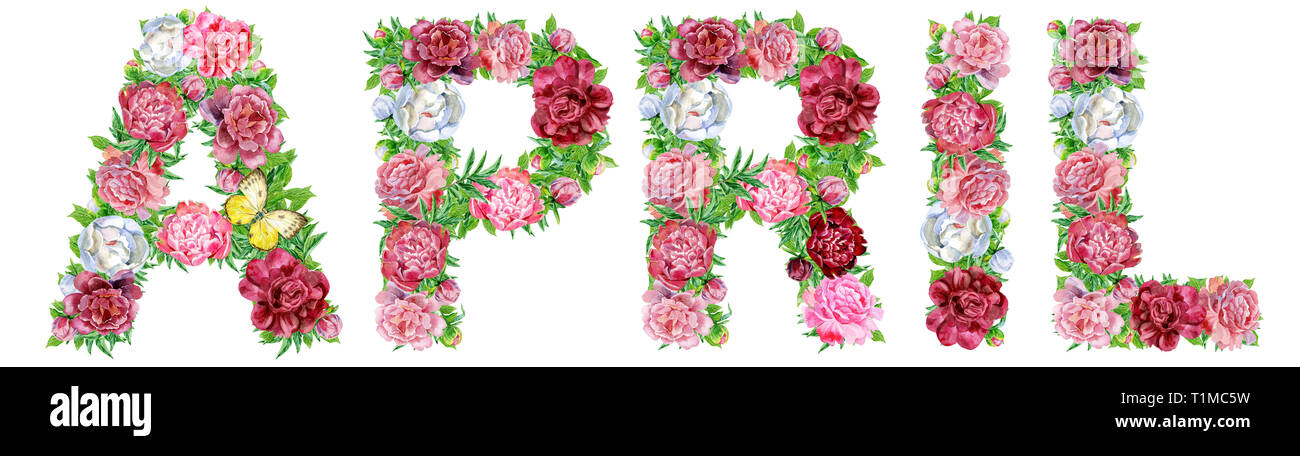 Word April of watercolor flowers, isolated hand drawn on a white ...
