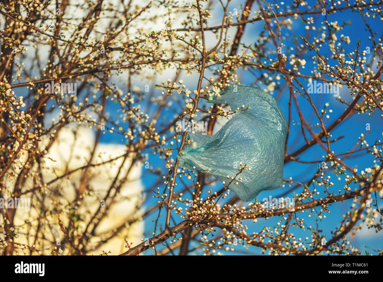 Plastic bag tree hi-res stock photography and images - Alamy