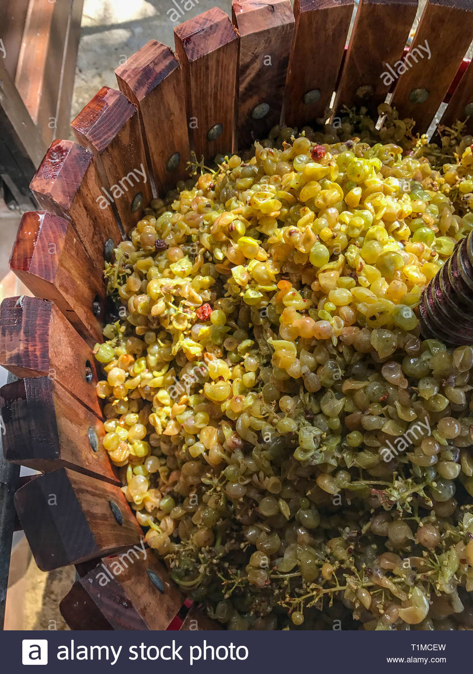 Fermenting Grapes Stock Photos & Fermenting Grapes Stock Images - Alamy