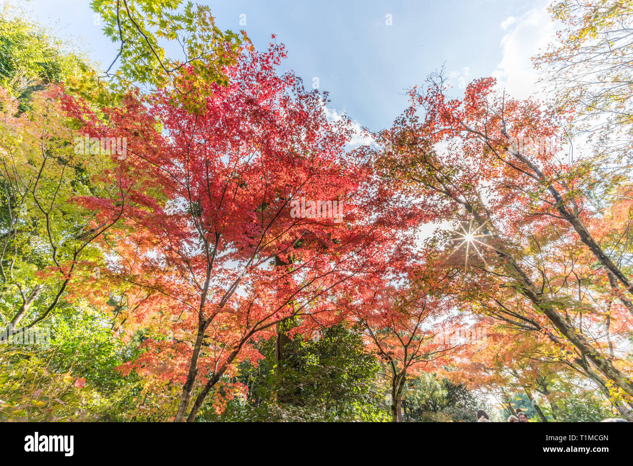 Mount arashi hi-res stock photography and images - Alamy