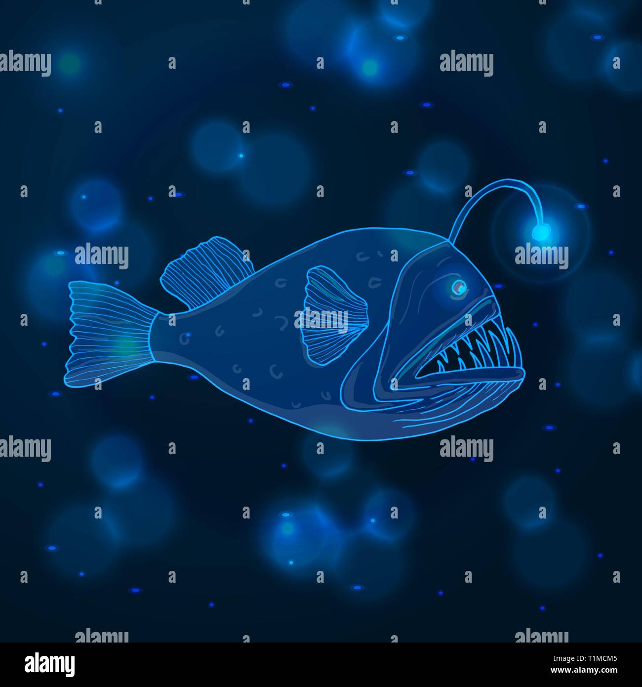 Angler Fish Diagram