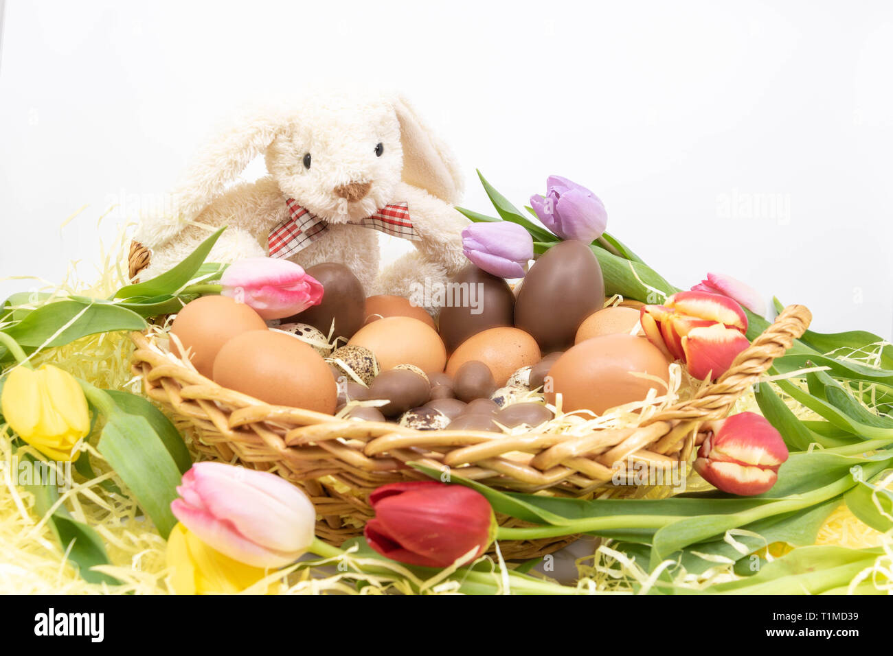 Beautiful tulips easter bunny hi-res stock photography and images - Alamy
