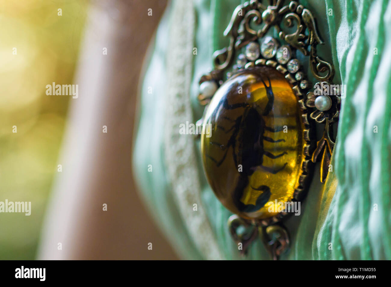 Up Close to Scorpion encased in Neckless Stock Photo - Alamy