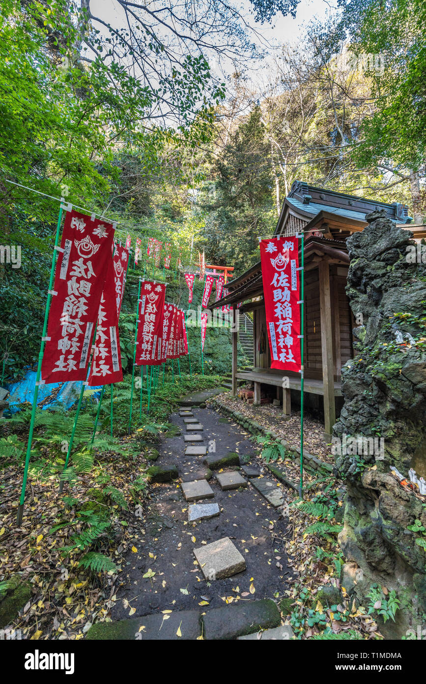 Kamakura, Japan - November 16, 2017 : Nobori Banners at Sasuke Inari ...