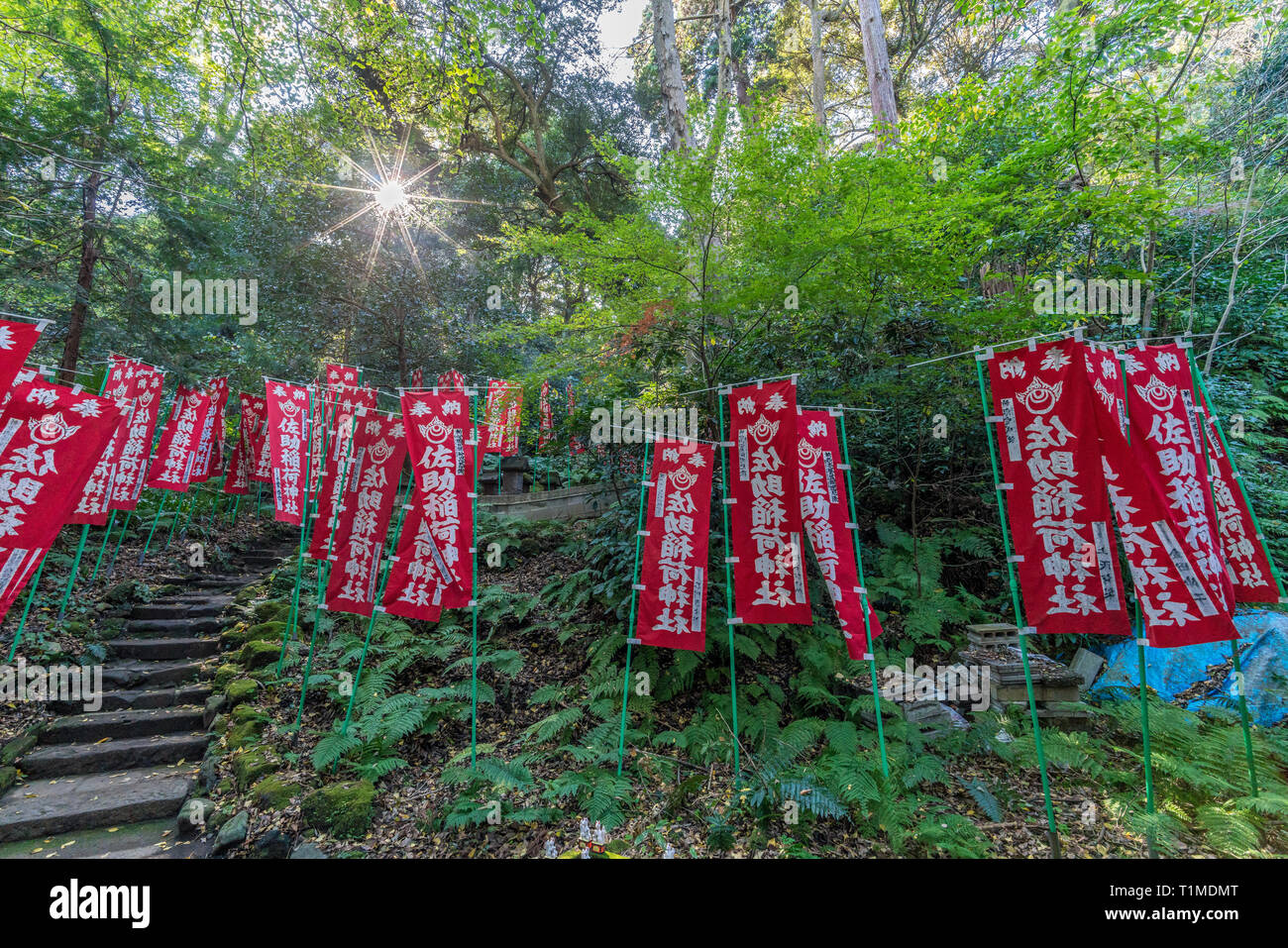 Kamakura, Japan - November 16, 2017 : Nobori Banners at Sasuke Inari ...