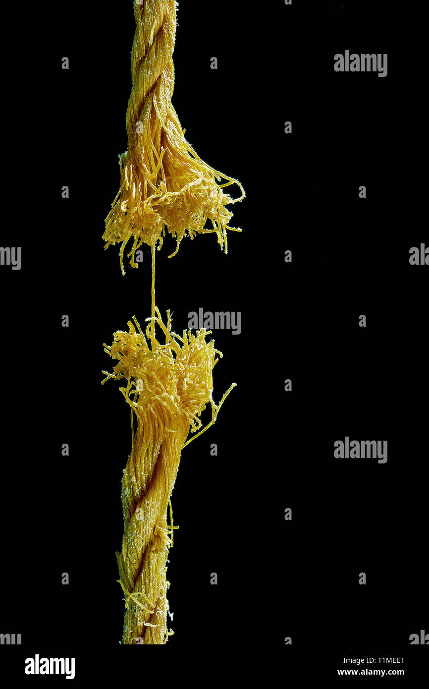 a rope hanging by a strand Stock Photo - Alamy