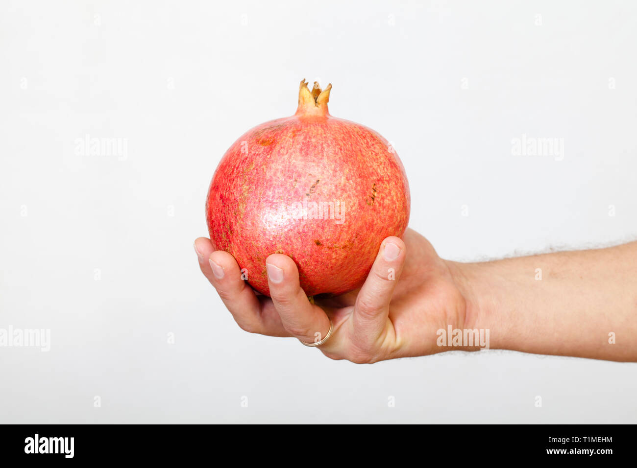 Hand holds red pomegranate on white background Stock Photo - Alamy