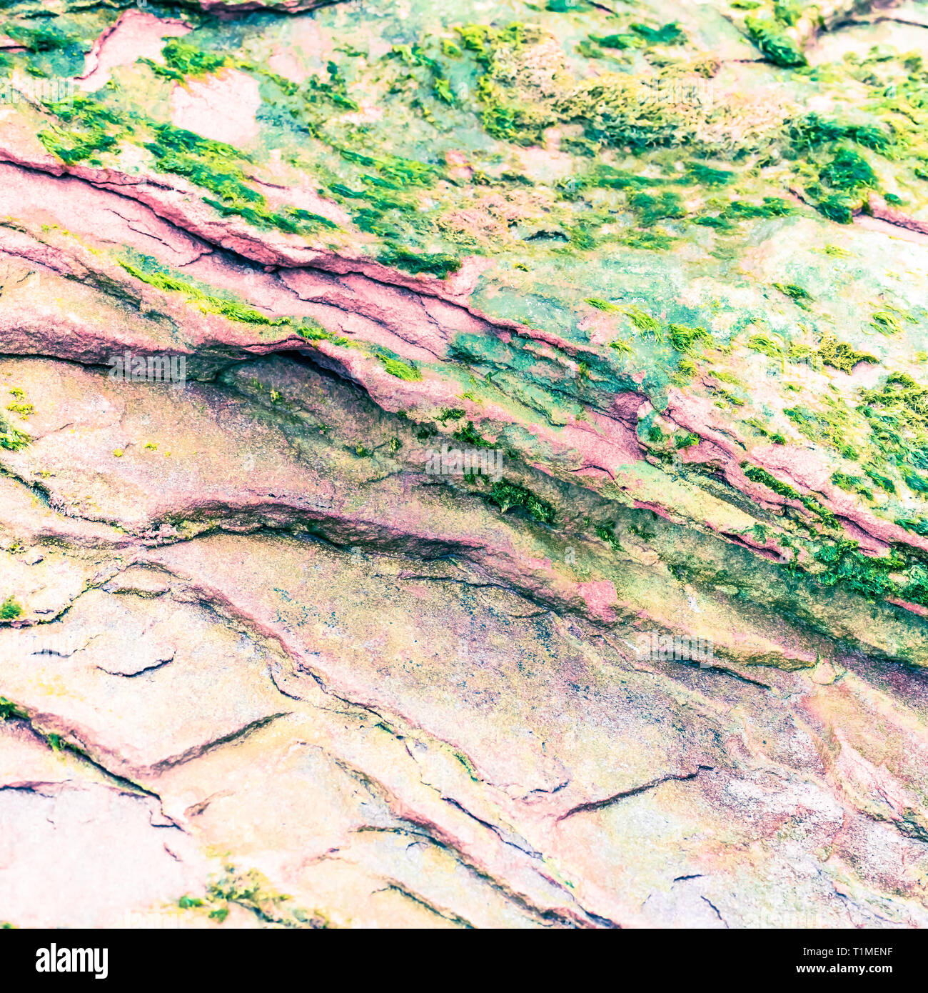 Colourful sedimentary rocks formed by the accumulation of sediments ...