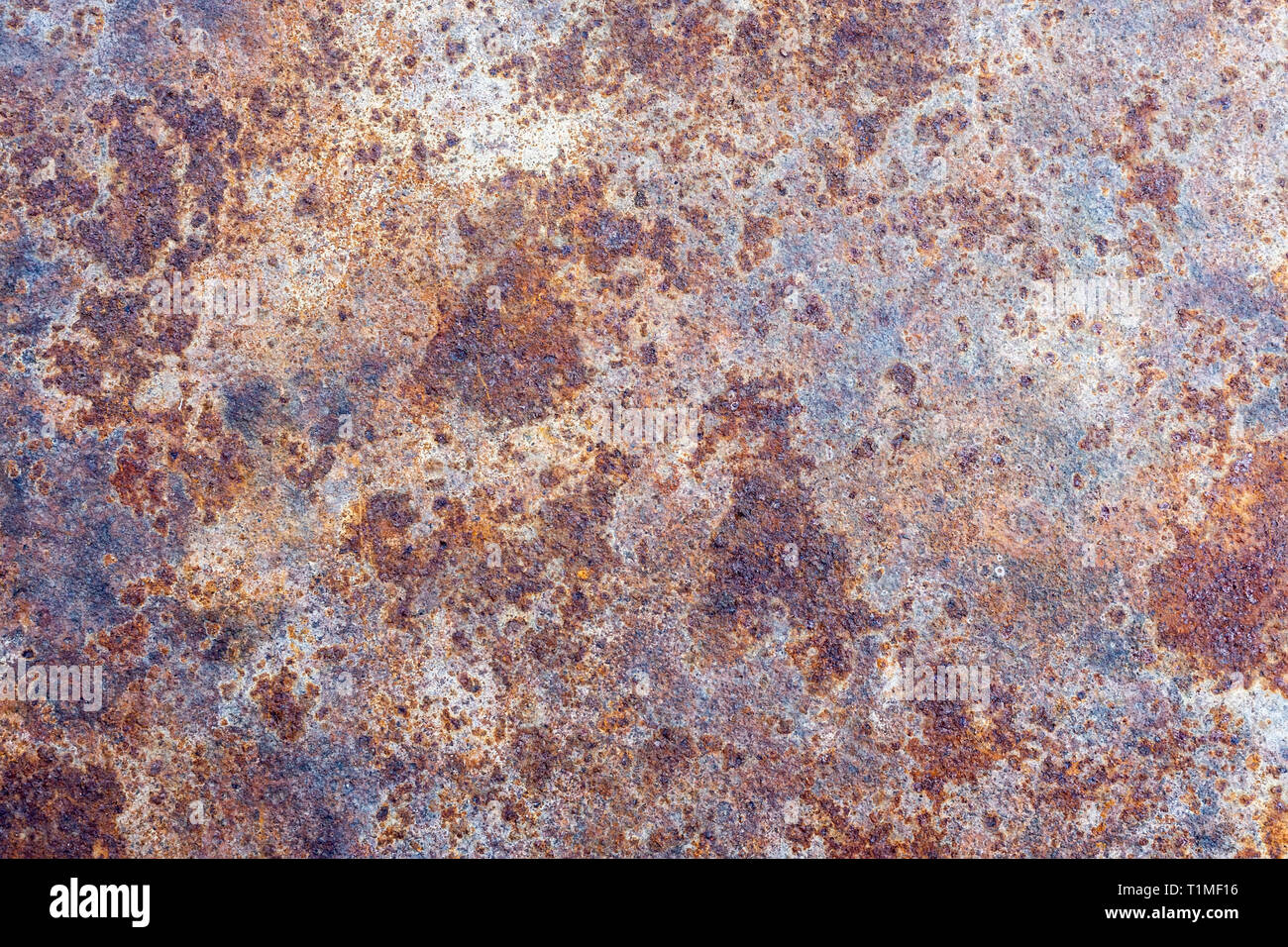 texture of rusty iron sheet, iron rusty background Stock Photo - Alamy