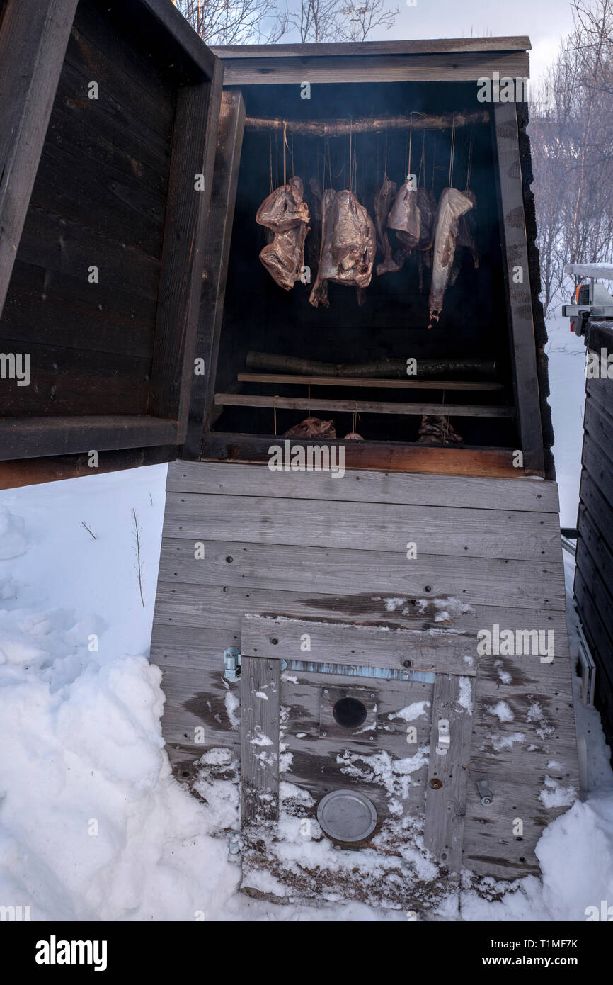 Tradition Swedish meat smoker with reindeer hanging Stock Photo - Alamy