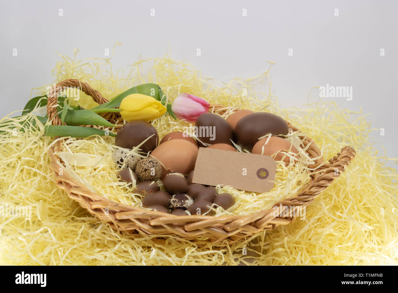 Bucolic and country graphic background on the theme of the arrival of ...